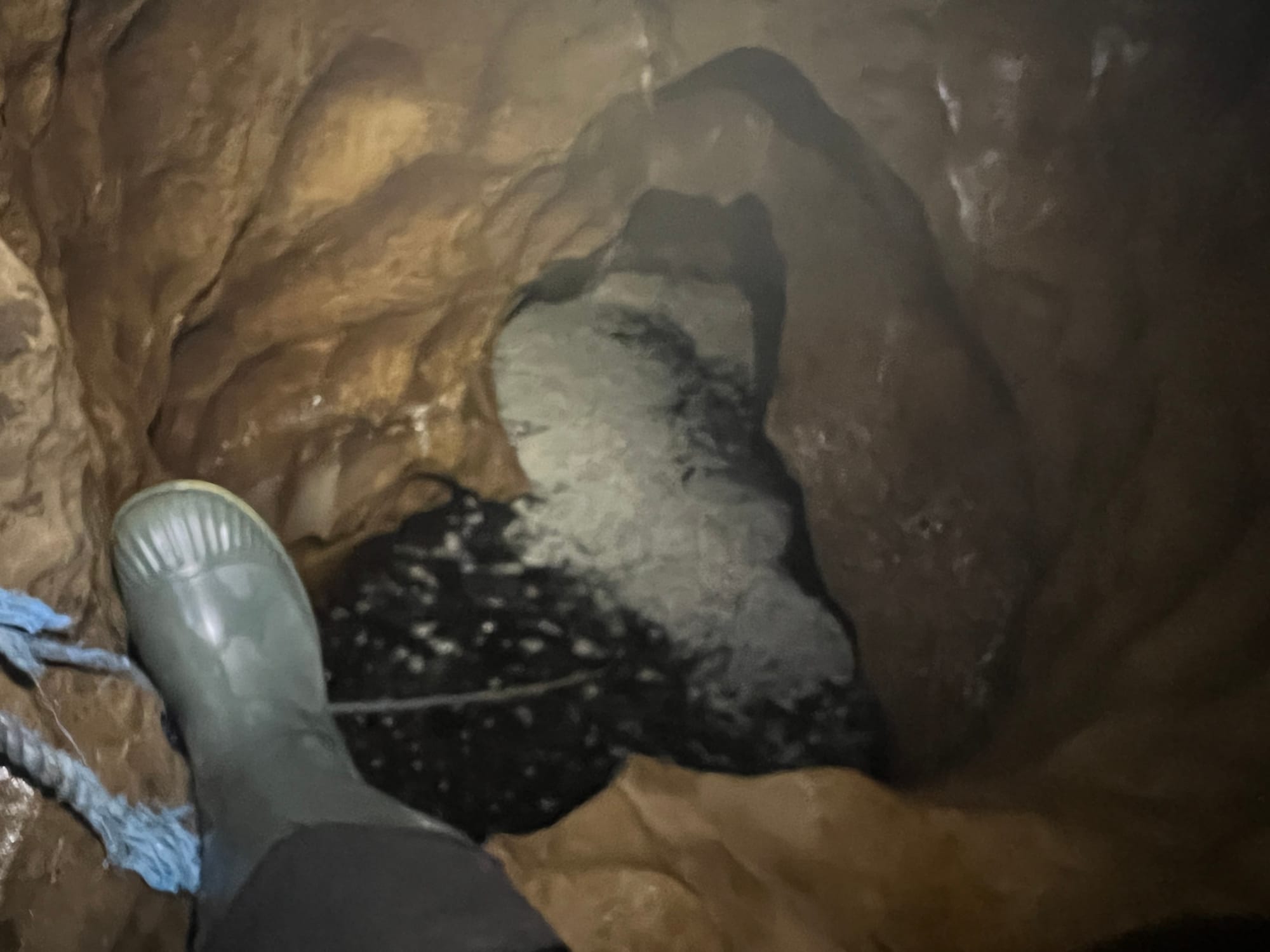 Notts Pot - 20 July 2025